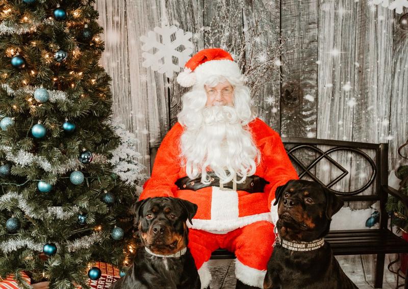 Springfield Animal Hospital | Springfield veterinarians