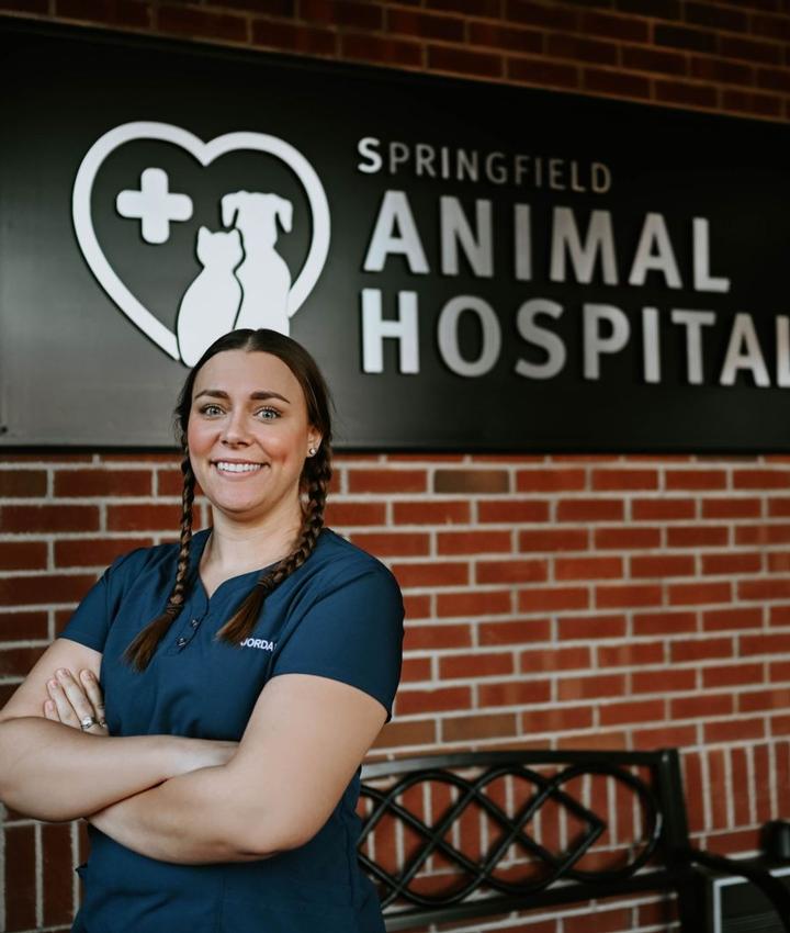 Experienced Veterinarians in Springfield | Dog + Cat Veterinarians